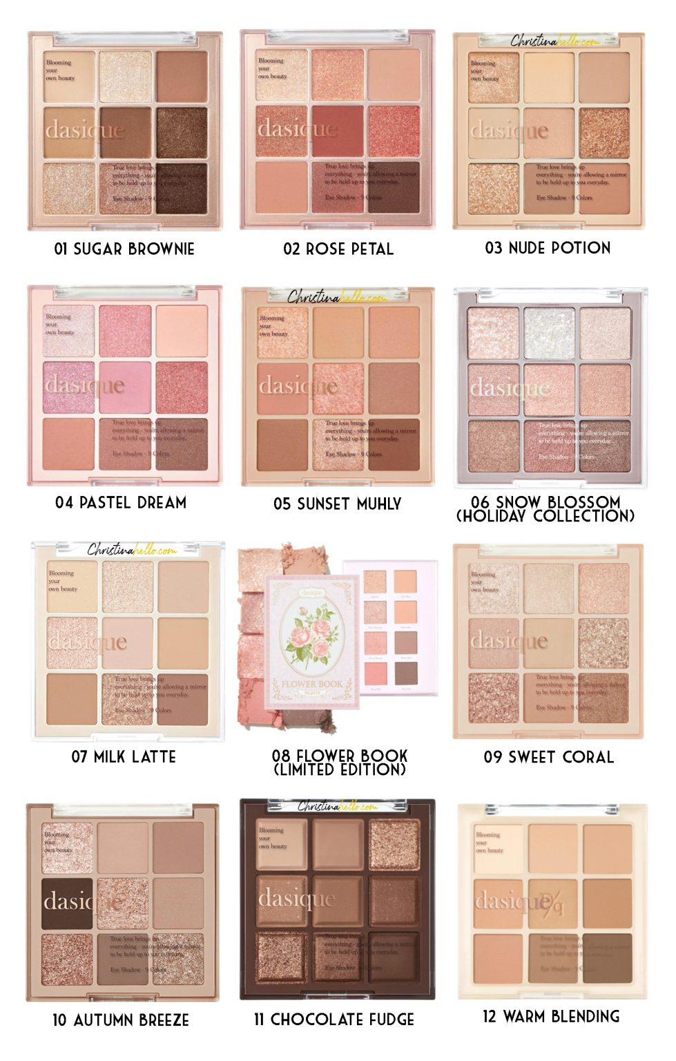 Dasique shadow palette swatch and review - Christinahello